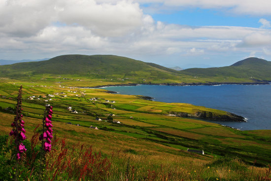 The Luck of the Irish – Life…one big adventure