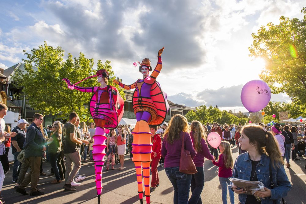 Getting the Flavour of Mudgee – Life…one big adventure