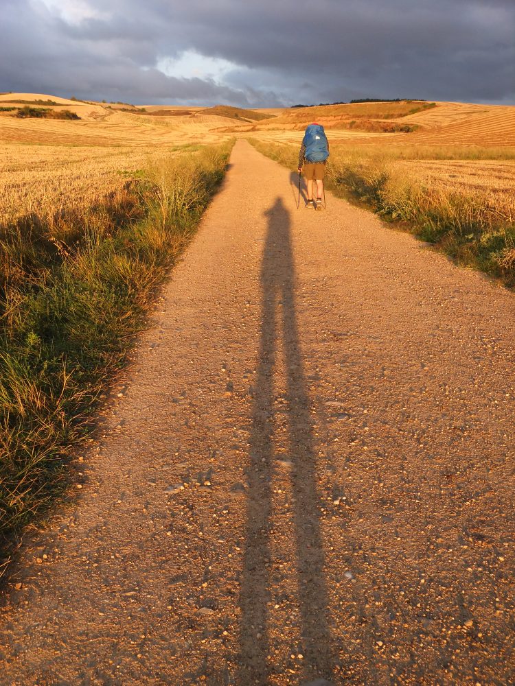 An Online Walking Encyclopedia – Life…one big adventure