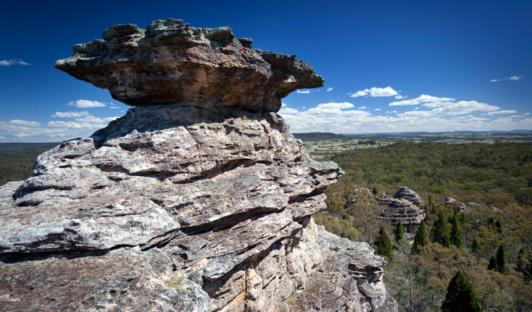 Walk Mudgee – Part 1 – Life…one big adventure