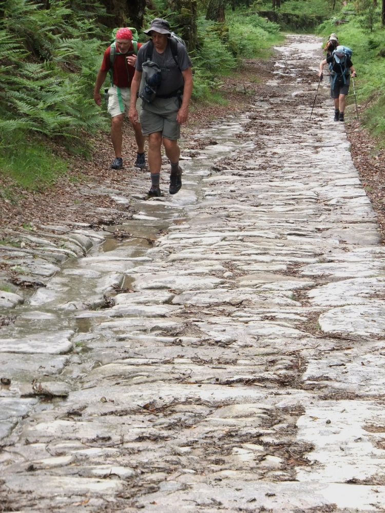 Top Tips for the Beginner Long Distance Walker – Life…one big adventure