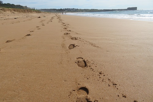 Step Into Paradise – Kiama Coast Walk, Day 1 – Life…one big adventure