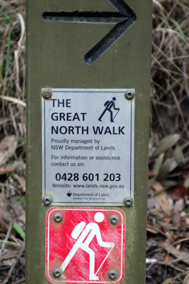Going Bush in the City – Introducing the Great North Walk – Life…one ...