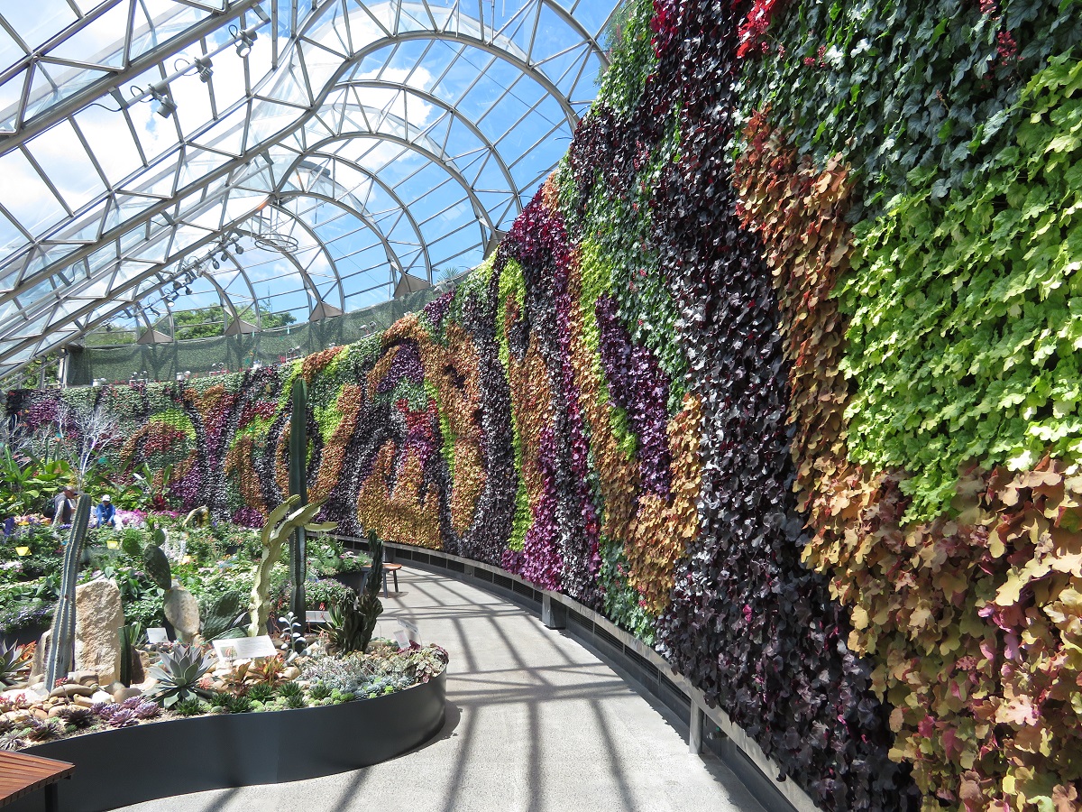 Love Your Nature – An Explosion of Colour at the Royal Botanic Gardens ...