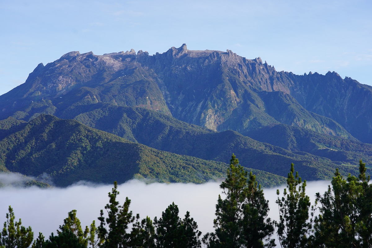 Package Tours? Are they all they are cracked up to be? Review of TripaDeal Borneo 2-for-1 Deal ...