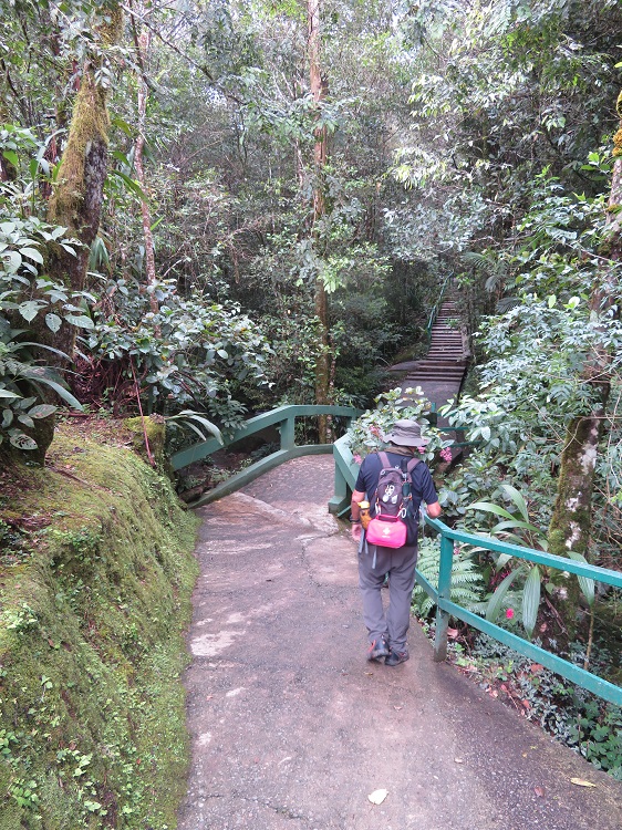 In the Shadow of Mt Kinabalu – A Hidden Botanical Garden, Sabah Borneo ...