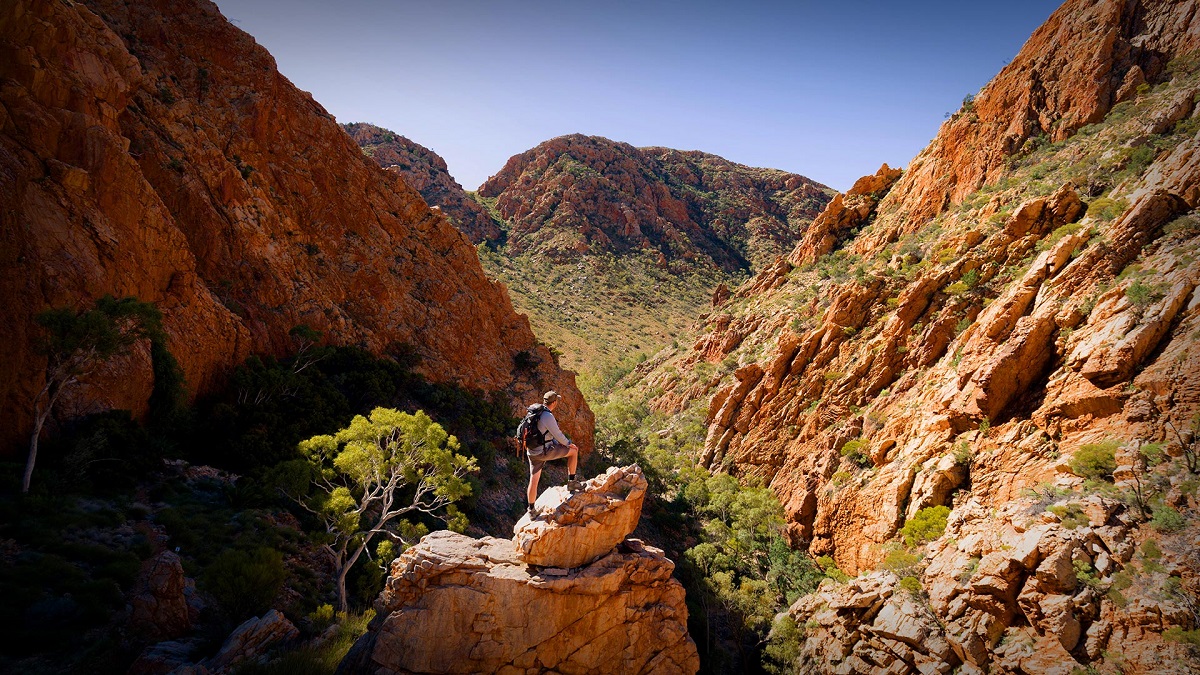 Walking Into The Heart of Australia – Introducing the Larapinta Trail ...